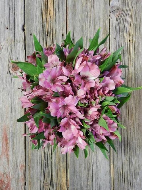 Wholesale Intenze Hot Pink Alstroemeria Delivered Online | FlowerFarm