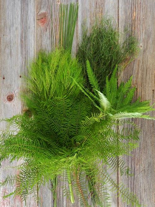 Wholesale Mixed Australian Assorted Greens Delivered Online | FlowerFarm