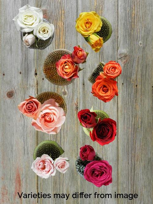 Wholesale Best Seller Assorted Color Spray Roses Delivered Online ...