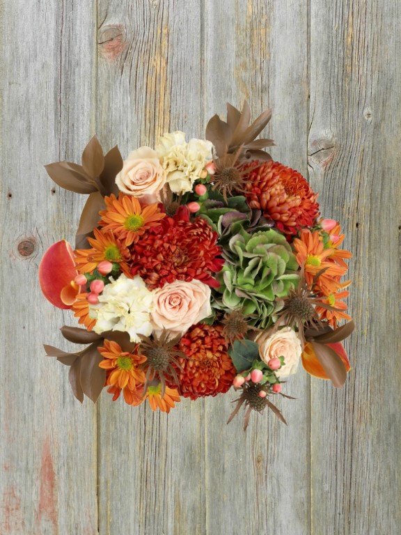 Wholesale Drumstick- 23 Stem Delivered Online | FlowerFarm