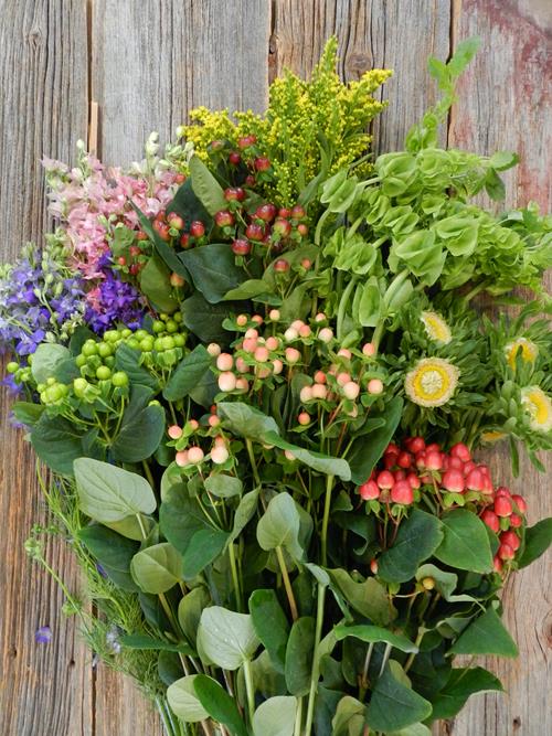 Wholesale Assorted Flowers Online | FlowerFarm
