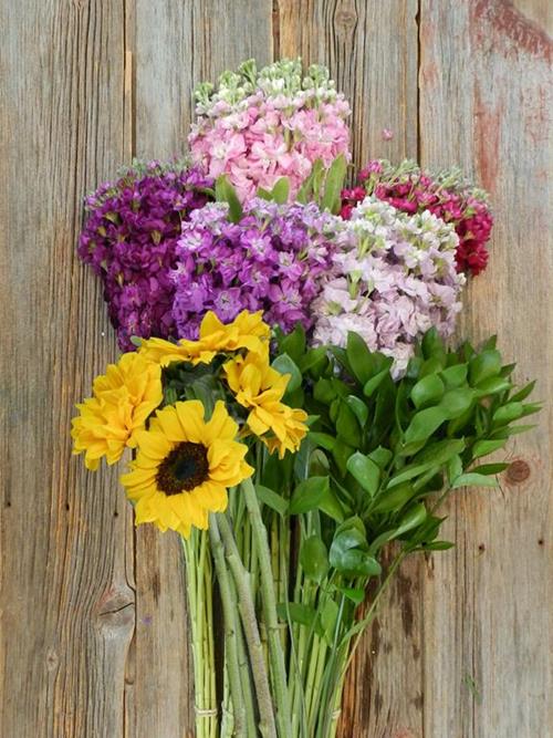 Wholesale Assorted Flowers Online | FlowerFarm