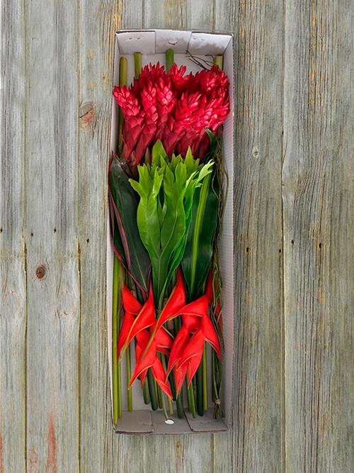 Wholesale Greens in Bulk | FlowerFarm - Fresh Cut Greens