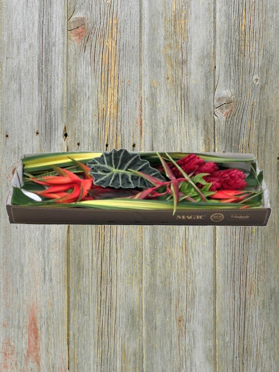 Wholesale Greens in Bulk | FlowerFarm - Fresh Cut Greens