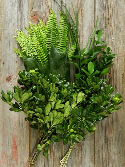 Wholesale Florida Fun Mixed Greens Combo Box Delivered Online | FlowerFarm