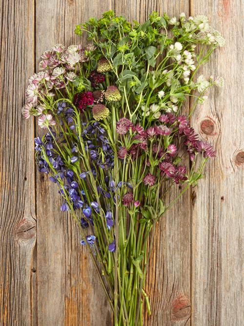 Wholesale Flower Combo Boxes Delivered | FlowerFarm