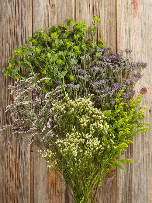 Wholesale Spring Colors Assorted Filler Flower Combo Box Delivered ...