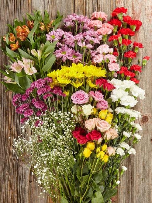 Wholesale Carnations Delivery Online | FlowerFarm