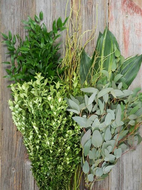 Wholesale Design Master Greens Combo Box Delivered Online | FlowerFarm