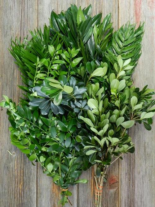 Wholesale Fabulous Foliage Greens Combo Box Delivered Online | FlowerFarm
