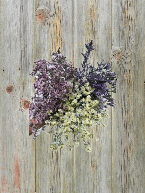 Wholesale Limonium 3 Asssorted Colors Delivered Online | FlowerFarm