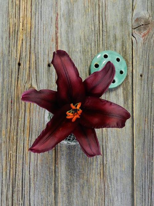 Wholesale Firebolt 2/3 Bloom Burgundy/Red Hybrid Oriental Lily ...