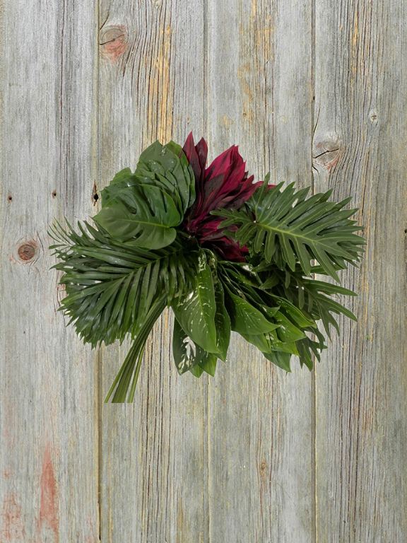 Wholesale Magic Amazon Assorted Tropical Greens Combo Box Delivered ...