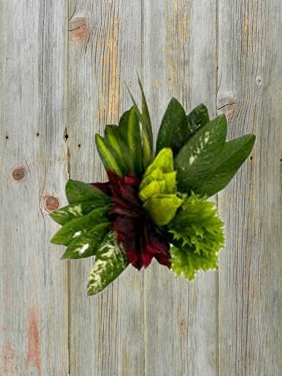 Wholesale Magic Jungle Assorted Tropical Greens Combo Box Delivered ...