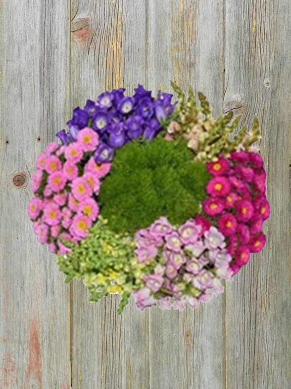 Wholesale Parade Of Accent Flowers Assorted Colors Combo Box Delivered ...