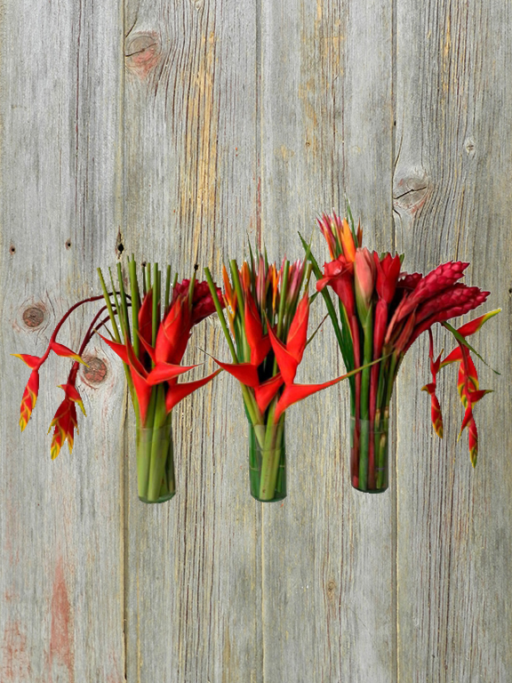 Wholesale Playa Tropical Assorted Combo Box Delivered Online | FlowerFarm