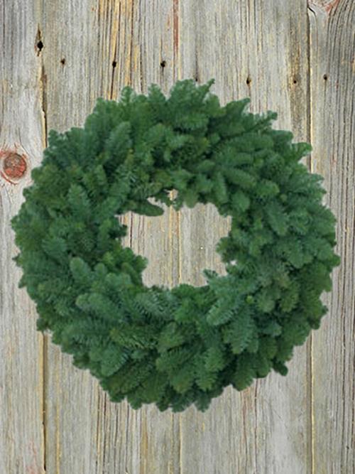 Wholesale 22" Plain Noble Wreath Christmas Greens Delivered Online ...