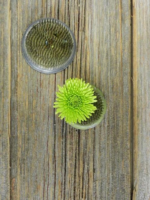 Wholesale Athos Green Pompons Delivered Online | FlowerFarm