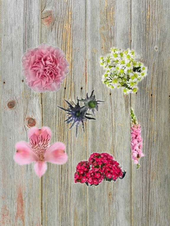 Wholesale Pink Palette Assorted Flowers Combo Box Delivered Online ...