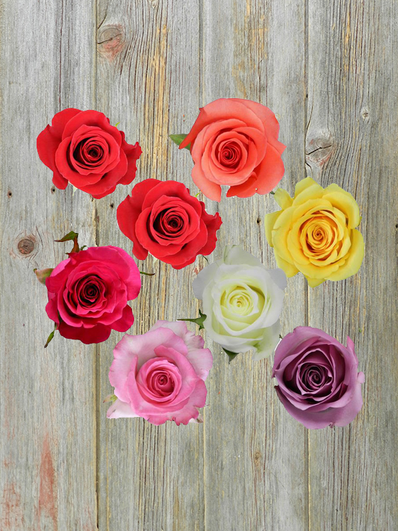 Wholesale Ftd Best Seller Roses Assorted Combo Box Delivered Online ...