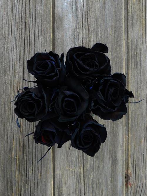 Wholesale Black Tinted Roses Delivered Online | FlowerFarm