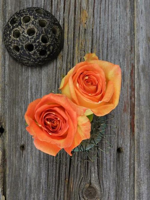 Wholesale Caribbean Bi-Color Orange/Yellow Rose Delivered Online ...