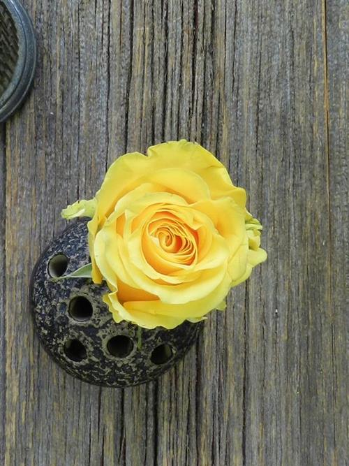 Wholesale Lighthouse Yellow Roses Delivered Online | FlowerFarm