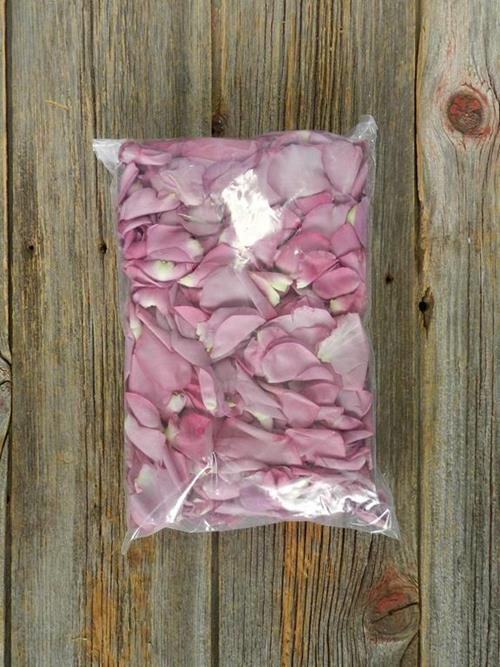 Wholesale 360 Grams Lavender Rose Petals Delivered Online | FlowerFarm