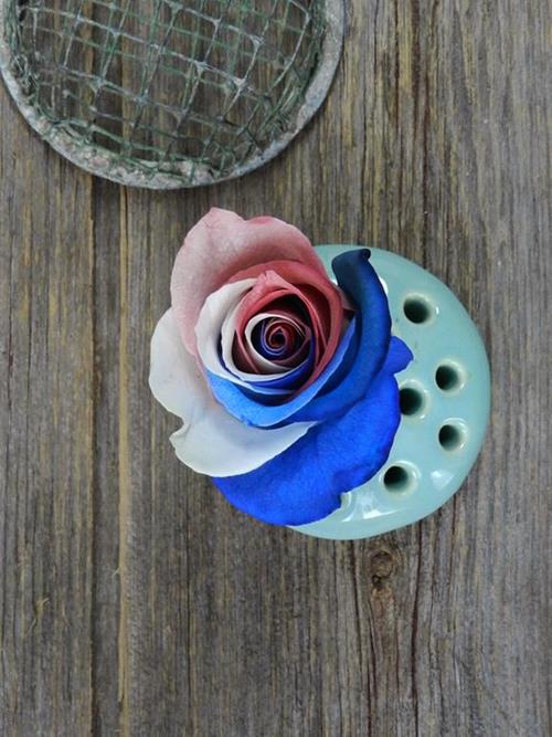 Wholesale 12 Stem Tinted Flag Roses Delivered Online | FlowerFarm