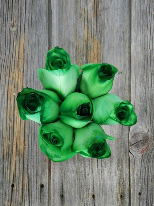 Wholesale Green Tinted Rose Delivered Online | FlowerFarm