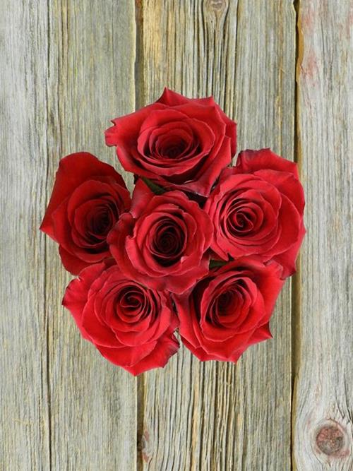 Wholesale Finally Red Roses Delivered Online | FlowerFarm