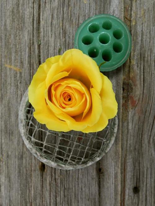 Wholesale Gold Strike Yellow Roses Delivered Online | FlowerFarm