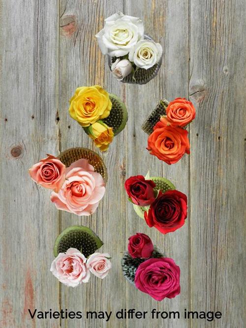 Wholesale Assorted Colors W/ Red Spray Roses Delivered Online | FlowerFarm