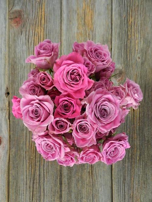 Wholesale Lavender Spray Roses Delivered Online | FlowerFarm