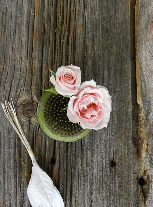 Wholesale Pink Spray Roses Delivered Online | FlowerFarm