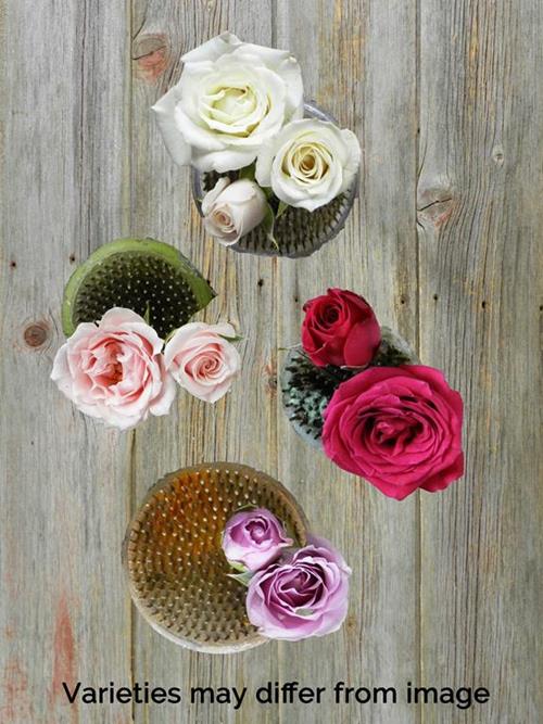 Wholesale Spray Roses Delivered | FlowerFarm