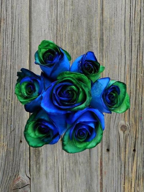 Wholesale Blue & Green Tinted Rose Delivered Online | FlowerFarm