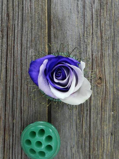 Wholesale Purple & White Tinted Rose Delivered Online | FlowerFarm