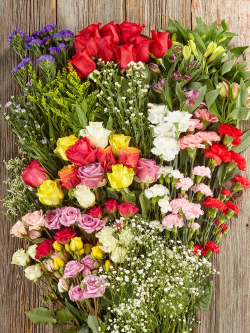 Wholesale Variety Pack 16 - Roses, Alstro, Carns, Mini Carns, Gyp ...