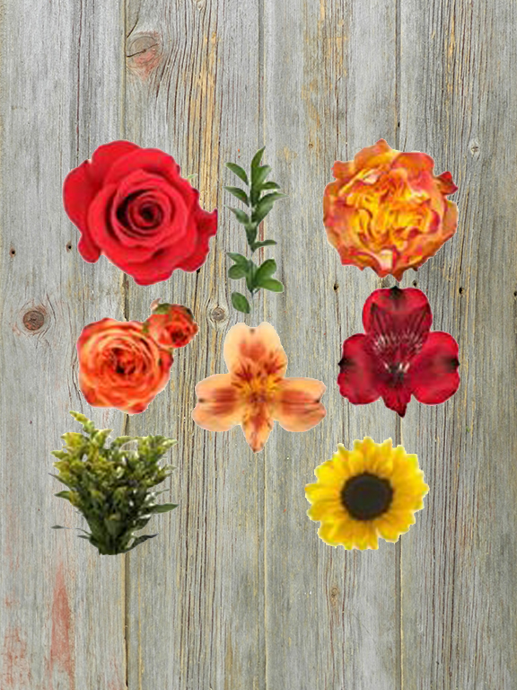 Wholesale Went To The Market For Assorted Fall Harvest Color Flowers ...