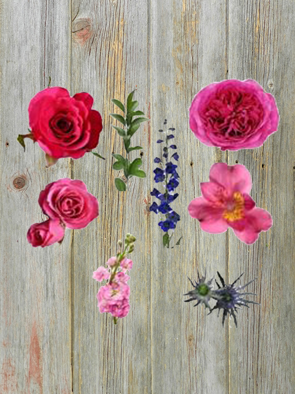 Wholesale Went To The Market For Assorted Hot Pink Flowers Delivered ...
