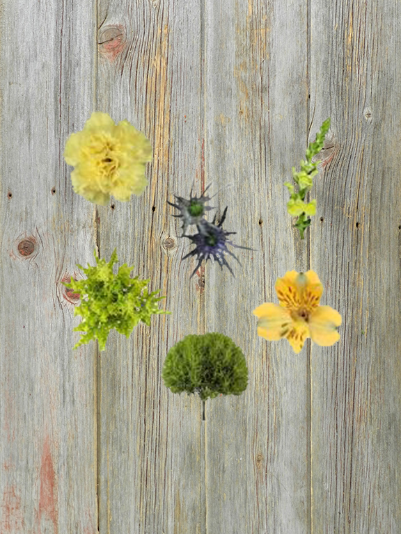 Wholesale Yellow Palette Assorted Flowers Combo Box Delivered Online ...